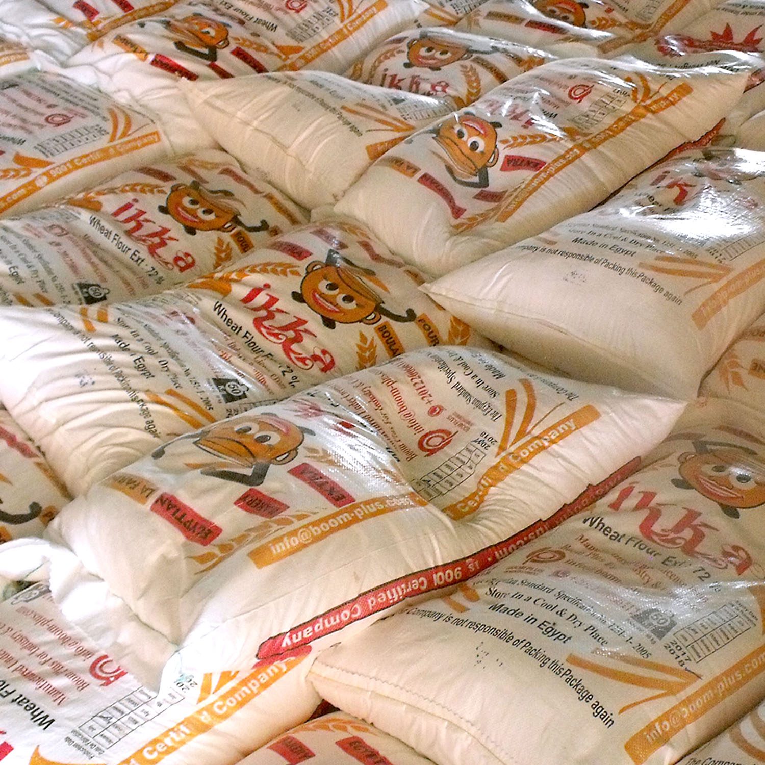 Photo Gallery – Ikka Wheat Flour - Boom Plus | Pasta Manufacturers ...