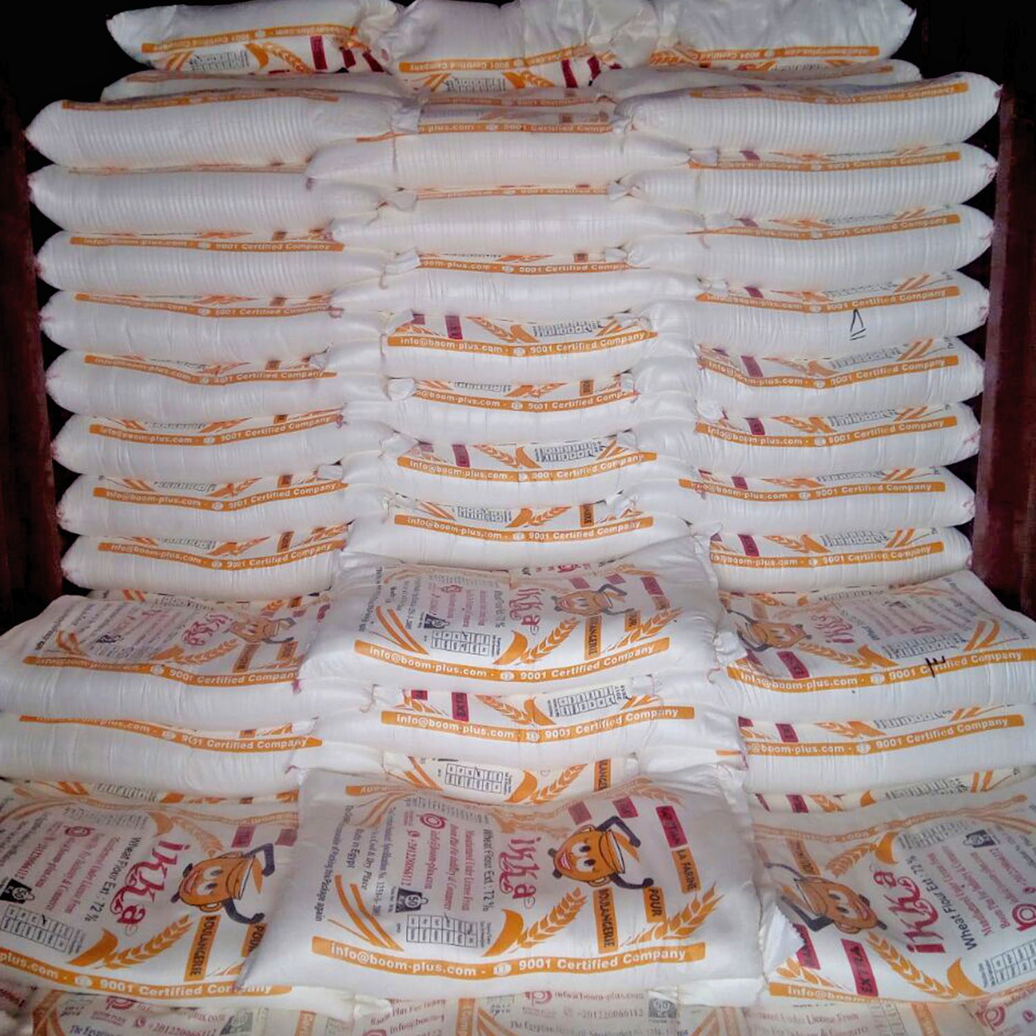 Photo Gallery – Ikka Wheat Flour - Boom Plus | Pasta Manufacturers ...